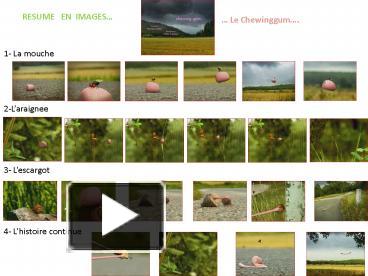 1 La mouche presentation | free to view