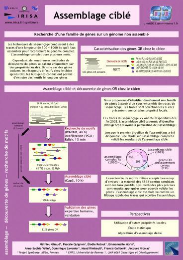 Assemblage cibl presentation | free to view