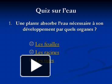 Quiz sur leau presentation | free to view