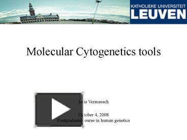 PPT – Molecular Cytogenetics tools PowerPoint presentation | free to view - id: 29cec3-ZDc1Z