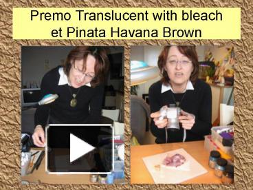 PPT – Premo Translucent with bleach et Pinata Havana Brown PowerPoint presentation | free to ...