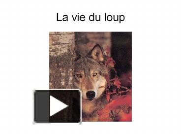 La vie du loup presentation | free to view