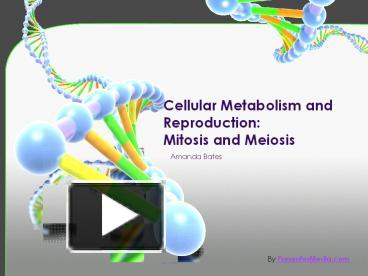 CH 4 Cellular Metabolism presentation | free to download