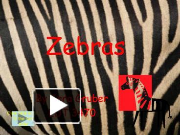 PPT – Zebras PowerPoint presentation | free to view - id: 2b1de-ZTgzM