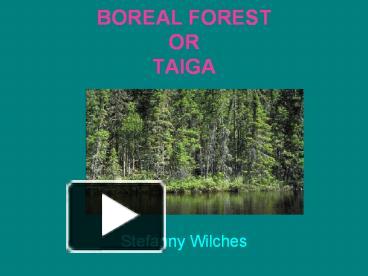 BOREAL FOREST OR TAIGA presentation | free to download