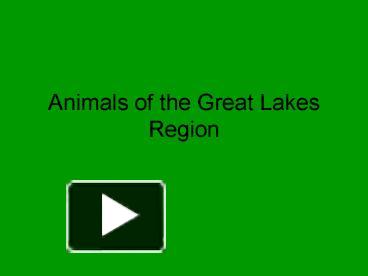 PPT – Animals of the Great Lakes Region PowerPoint presentation | free ...
