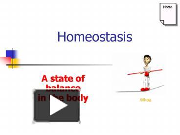 Homeostasis presentation | free to view