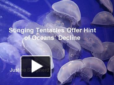 Stinging Tentacles Offer Hint of Oceans Decline presentation | free to view
