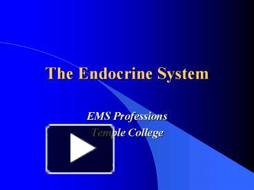 PPT – The Endocrine System PowerPoint presentation | free to view - id ...