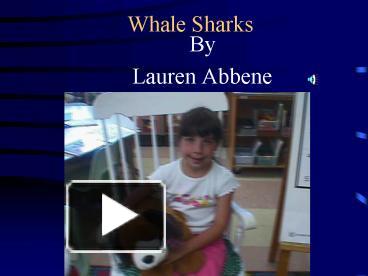 PPT – Whale Sharks PowerPoint presentation | free to view - id: 313f9-NDljY