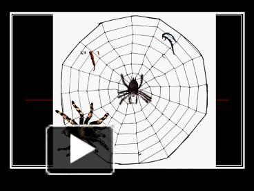 Spiders presentation | free to view