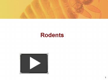 Rodents presentation | free to view