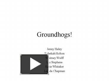 Groundhogs presentation | free to view