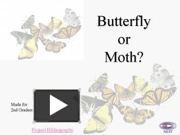 Butterfly presentation | free to view