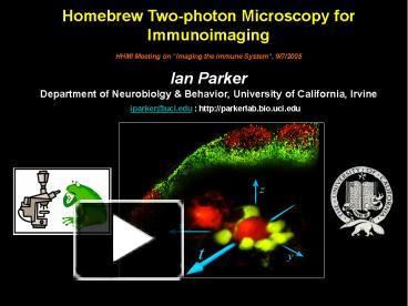 Homebrew Two-photon Microscopy for Immunoimaging presentation | free to download