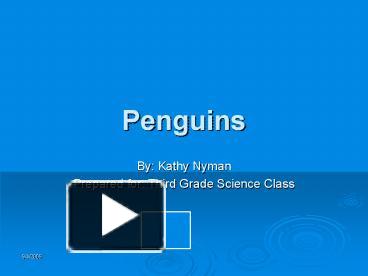 Penguins presentation | free to view