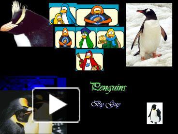 Penguins presentation | free to download