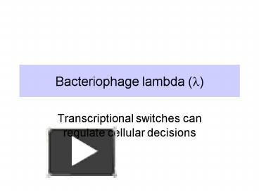 Bacteriophage lambda l presentation | free to view