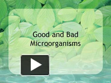 Good and Bad Microorganisms presentation | free to view