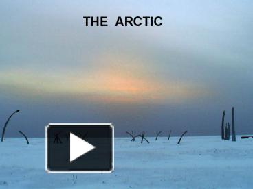 ARCTIC presentation | free to view