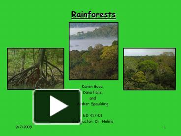 Rainforests presentation | free to view