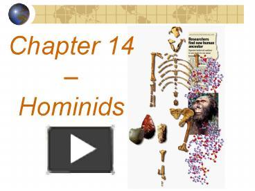 PPT – Chapter 14 Hominids PowerPoint presentation | free to view - id ...