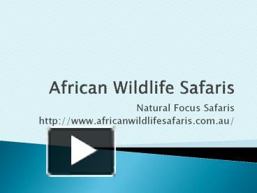 African Wildlife Safaris and Tours presentation | free to view