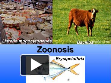 PPT – Zoonosis PowerPoint presentation | free to download - id: 3aed0c-ZDU3O