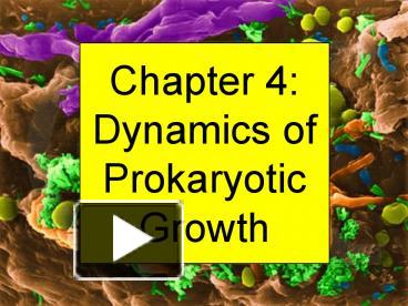 PPT – Chapter 4: Dynamics of Prokaryotic Growth PowerPoint presentation ...