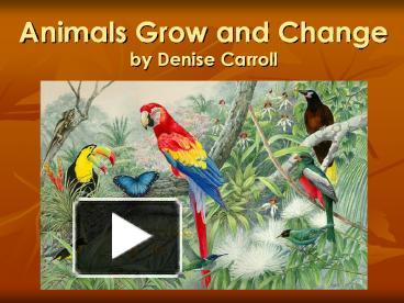 PPT – Animals Grow and Change by Denise Carroll PowerPoint presentation ...