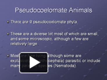 Pseudocoelomate Animals presentation | free to view