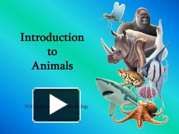 PPT – Introduction to Animals Web Quest for 10th grade Biology The ...