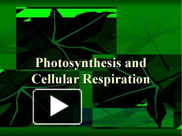 PPT – Photosynthesis and Cellular Respiration PowerPoint presentation ...