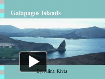PPT – Galapagos Islands PowerPoint presentation | free to view - id ...