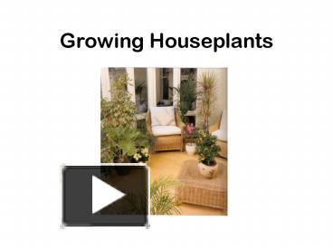 PPT – Growing Houseplants PowerPoint presentation | free to view - id ...