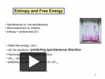 Entropy and Free Energy presentation | free to view