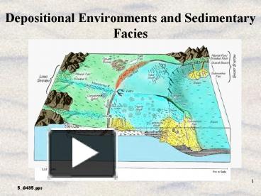 Depositional Environments and Sedimentary Facies presentation | free to view