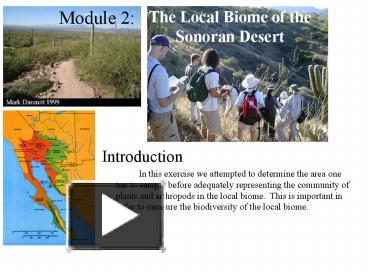 The Local Biome of the Sonoran Desert presentation | free to view