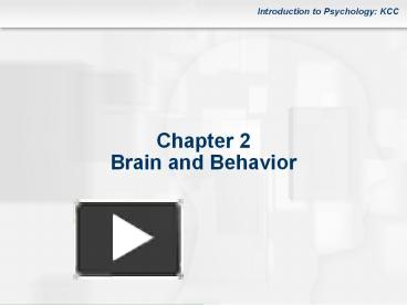 PPT – Chapter 2 Brain and Behavior PowerPoint presentation | free to ...