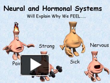 PPT – Neural and Hormonal Systems PowerPoint presentation | free to ...