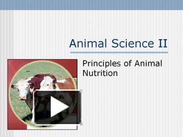 Animal Science II presentation | free to download