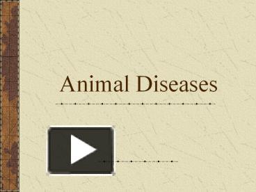 Animal Diseases presentation | free to download