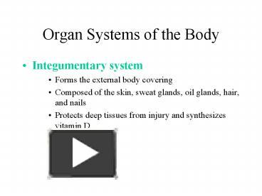 Organ Systems of the Body presentation | free to view