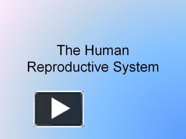 The Human Reproductive System presentation | free to download