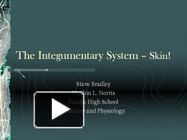 The Integumentary System presentation | free to download