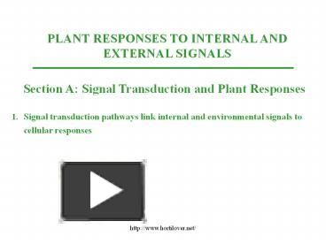 PPT – PLANT RESPONSES TO INTERNAL AND EXTERNAL SIGNALS PowerPoint ...