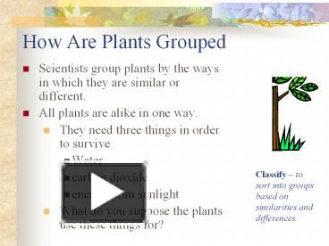 How Are Plants Grouped presentation | free to view