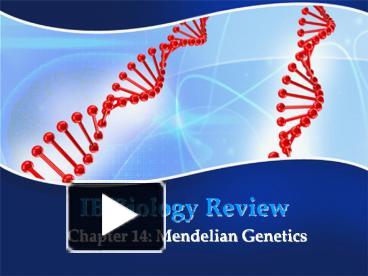 PPT – IB Biology Review Chapter 14: Mendelian Genetics 4. A parent ...