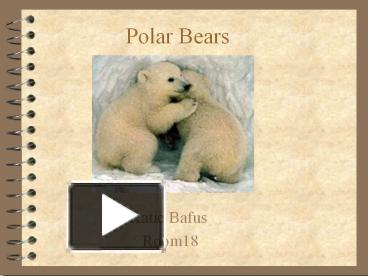 Polar Bears presentation | free to view