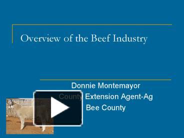 Overview of the Beef Industry presentation | free to view
